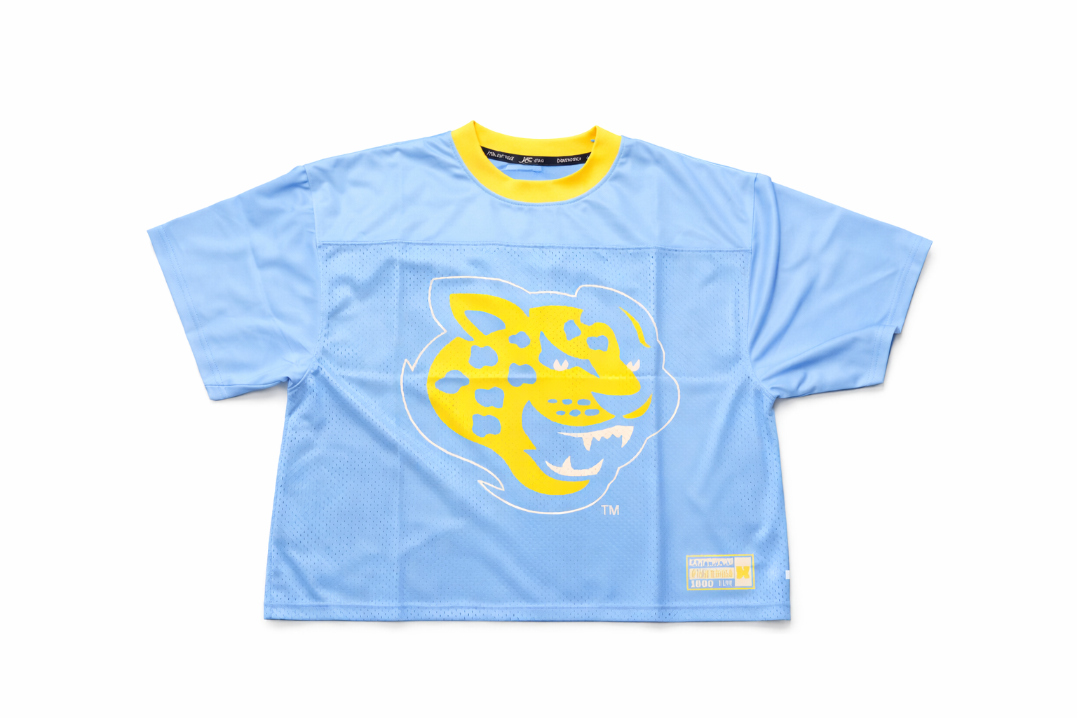 Southern University '80 Jersey – JLS Presents
